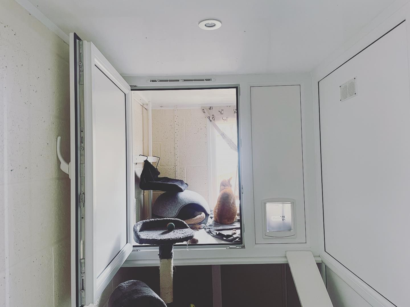 Deluxe Cattery in the heart of Cricklade, Wiltshire