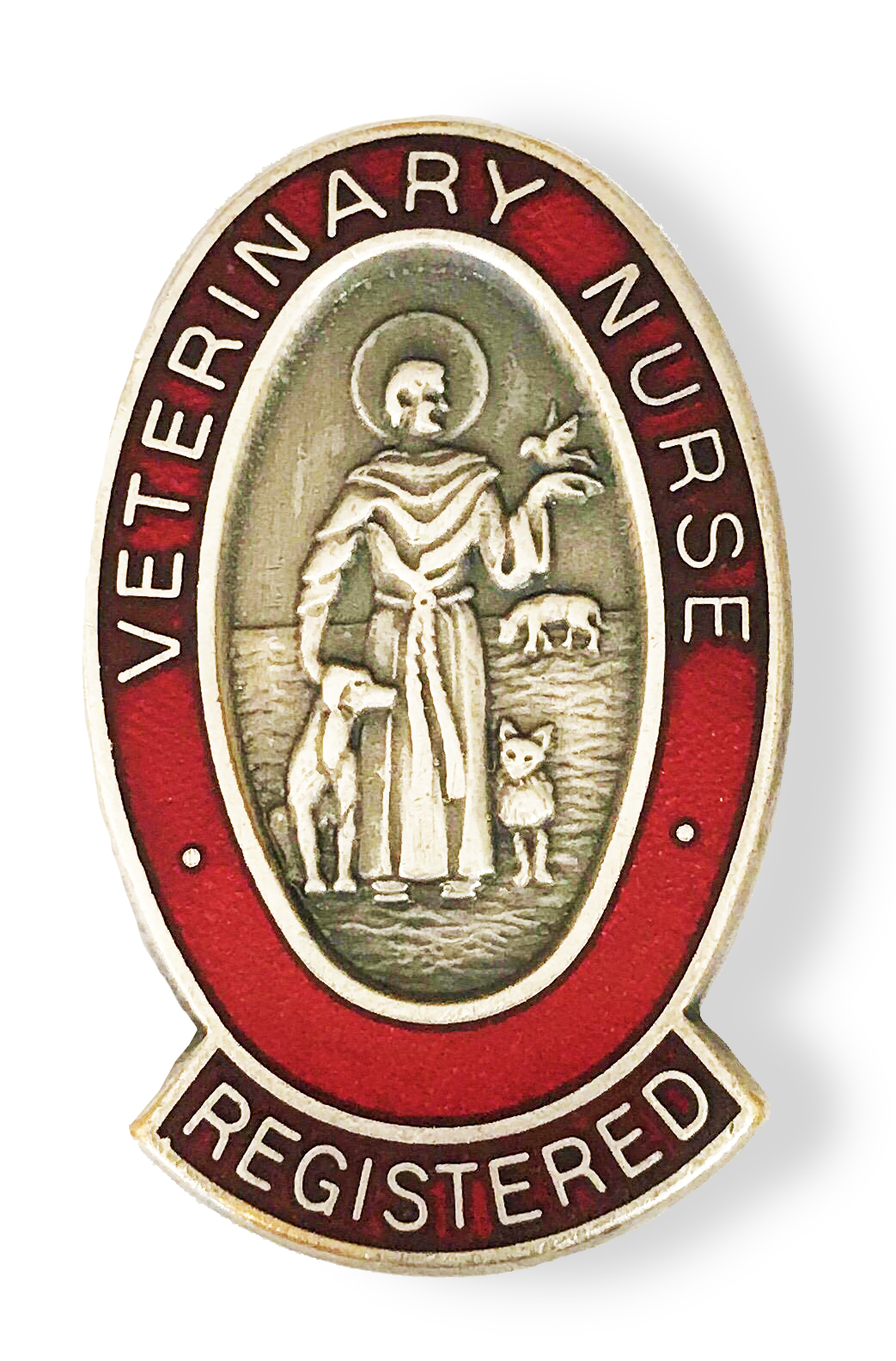 Deluxe Cattery in the heart of Cricklade, Wiltshire